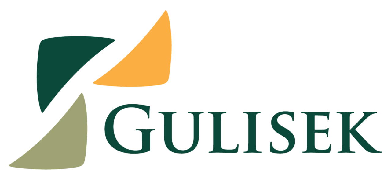 Construction Team | About | Gulisek